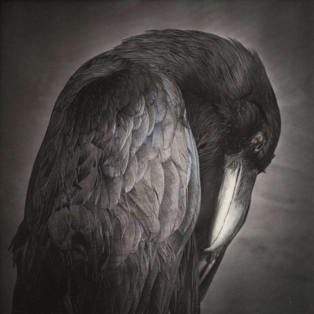 Invaluable: Collection Treasures from Past Exhibitions | The Grace Museum